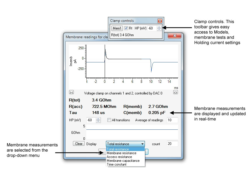 CED Signal: Patch clamp