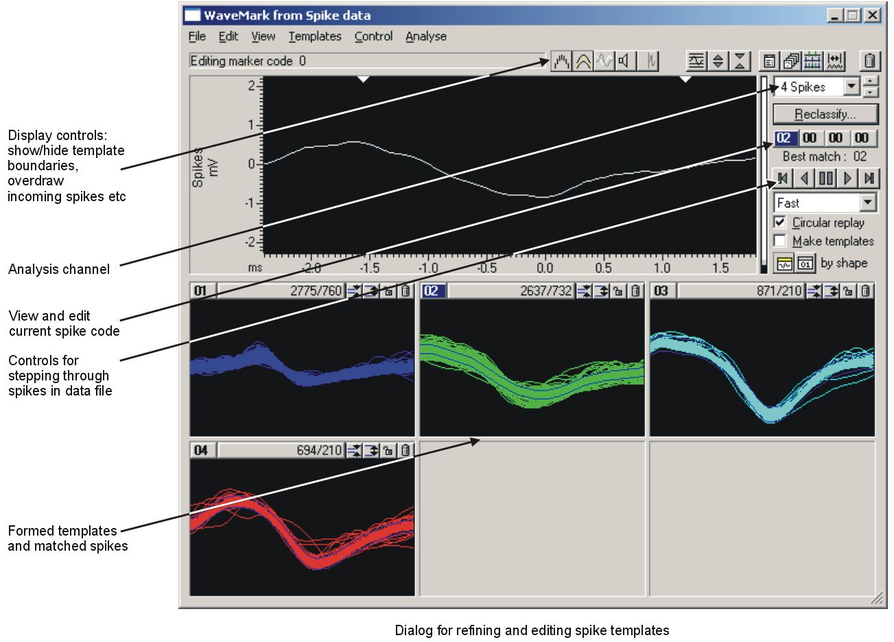 CED Spike2: Spike Sorting, Template matching